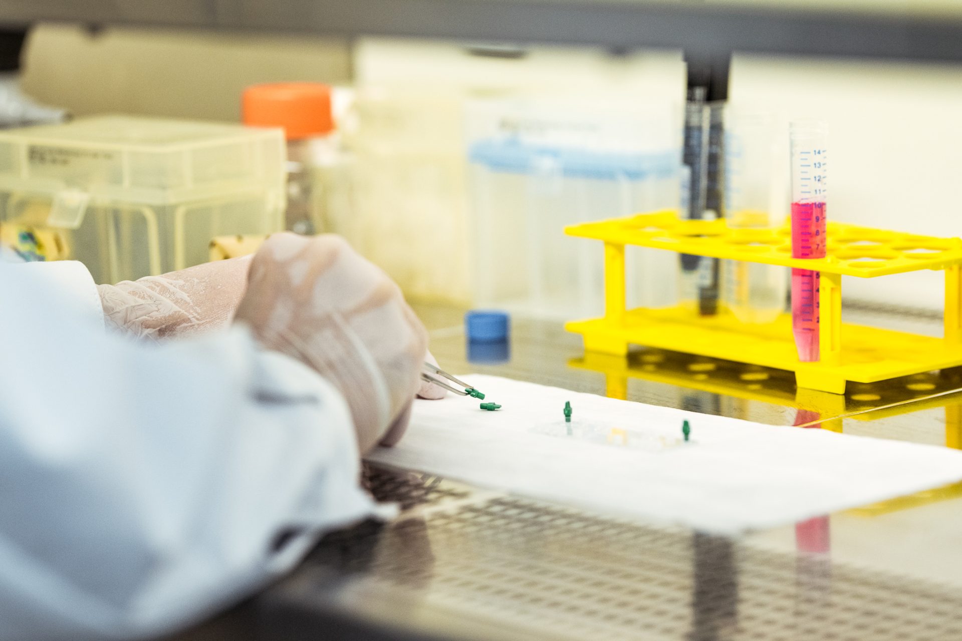 Jena-based biotechnology company "Dynamic42" raises mid-seven-figure ...